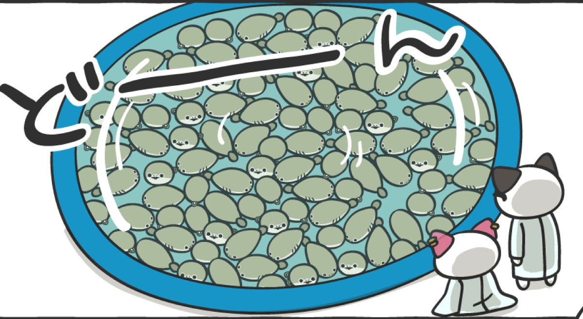 バスピ研究本部の日常｜LIST｜虚無魚バスピ！ ‐研究本部‐